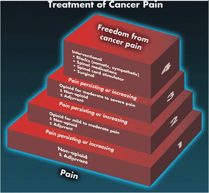 CANCER PAIN MANAGEMENT - Indian Society of Anaesthesiologists CANCER PAIN MANAGEMENT - Indian Society of Anaesthesiologists